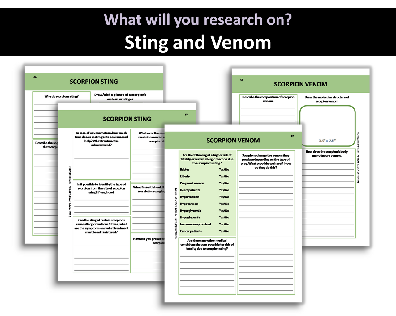 Learn all about Scorpions