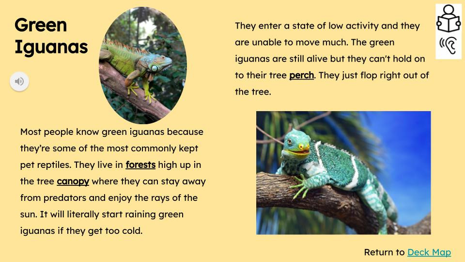 Reptiles Informational Text Reading Passage and Activities BUNDLE