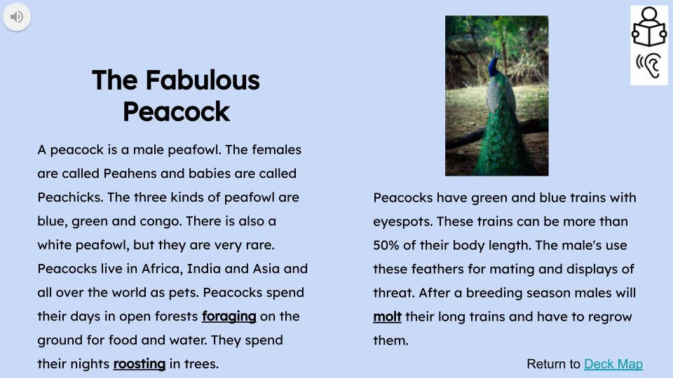 Peacock Informational Text Reading Passage and Activities