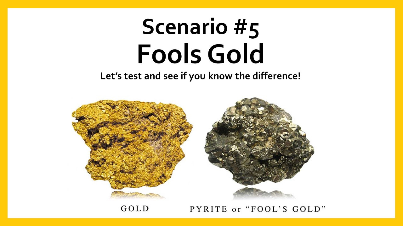 Gold Rush Simulation Game