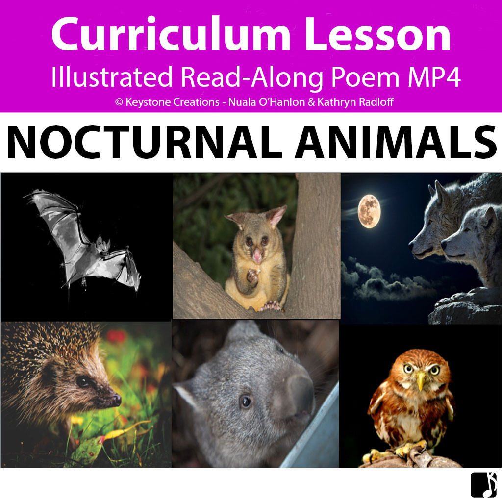'NOCTURNAL ANIMALS’ (Pre-K - 6) ~ Illustrated Curriculum Poem Video ...