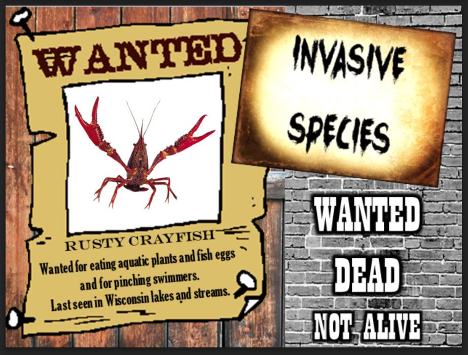 Invasive Species - Amped Up Learning