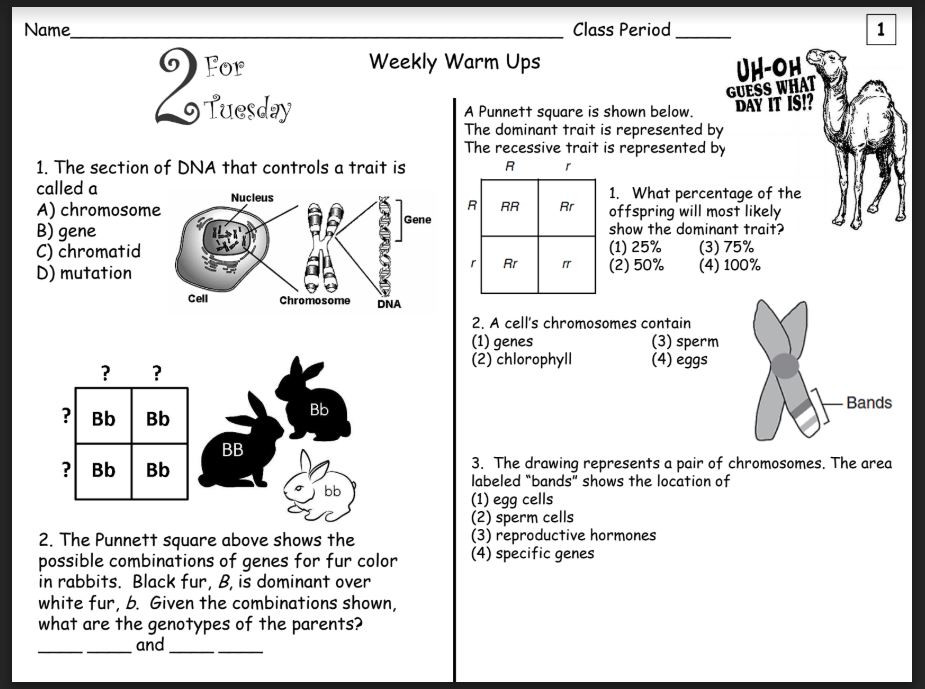 Weekly Science Warm Ups - Amped Up Learning