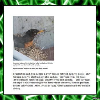 Reproduction and Development Adaptations in the American Robin Learning ...