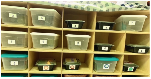 Structured Work System Essentials for Special Education