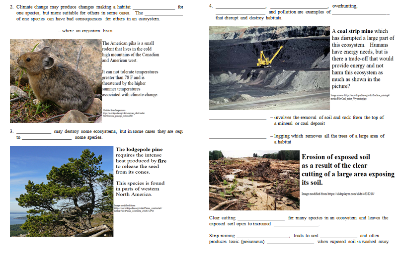 Ecosystem Interactions, Energy and Dynamics Learning Activities for MS ...