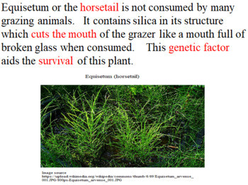 Environment/Heredity and Gene Expression for Middle School Science