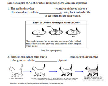 Environment/Heredity and Gene Expression for Middle School Science