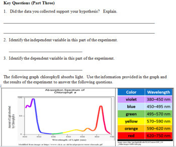 Photosynthesis/Respiration and Energy Learning Activities for MS Science