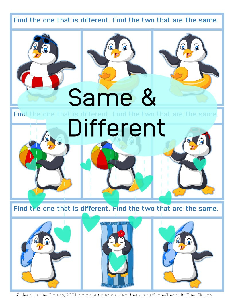 Same & Different - Summer Animals - Matching & Find the Difference