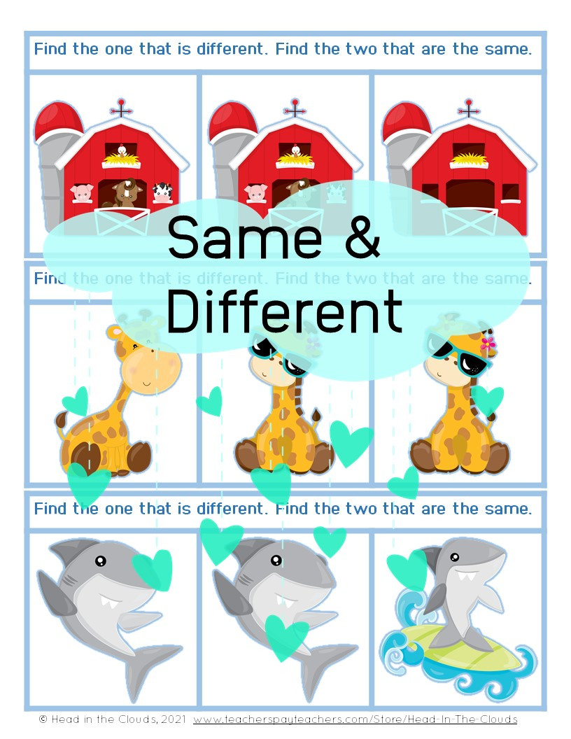 Same & Different - Summer Animals - Matching & Find the Difference