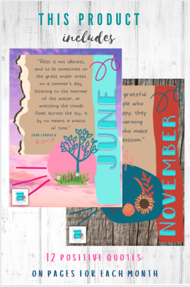 Re-Usable Binder Mindfulness and Positivity Teacher Planner