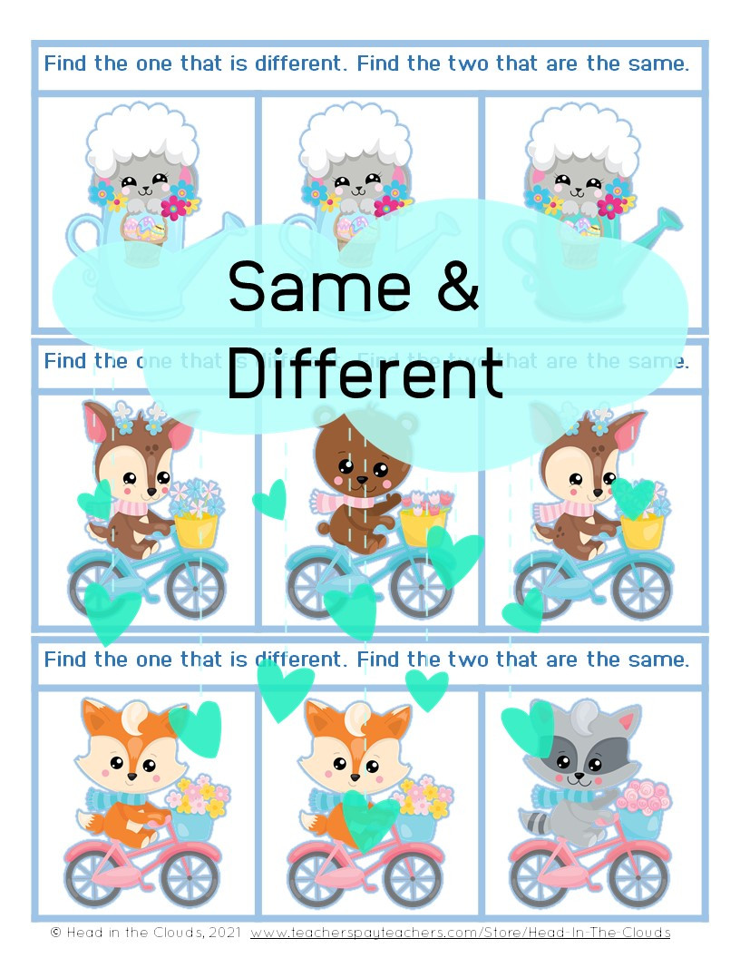 Same & Different - Spring Animals - Matching & Find the Difference