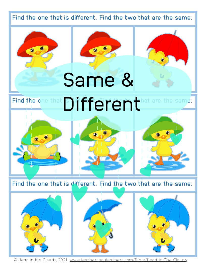 Same & Different - Spring Animals - Matching & Find the Difference