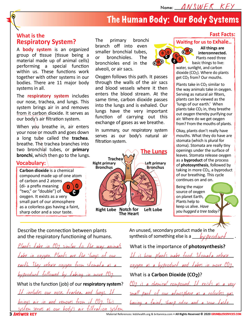 Irish Potato Famine: Ireland and The Great Hunger - Elementary ...