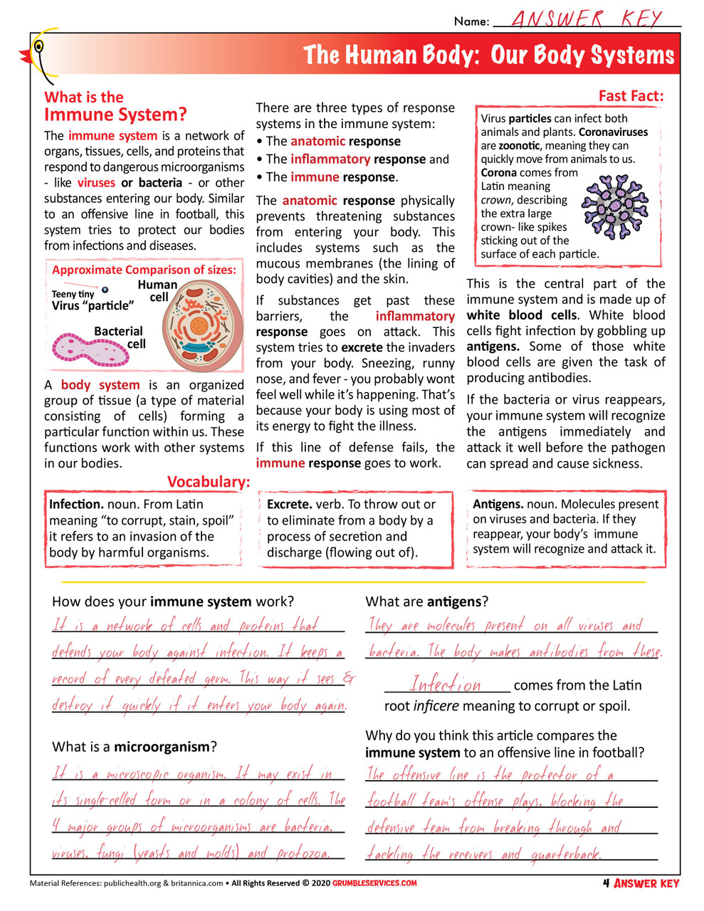 Irish Potato Famine: Ireland and The Great Hunger - Elementary ...