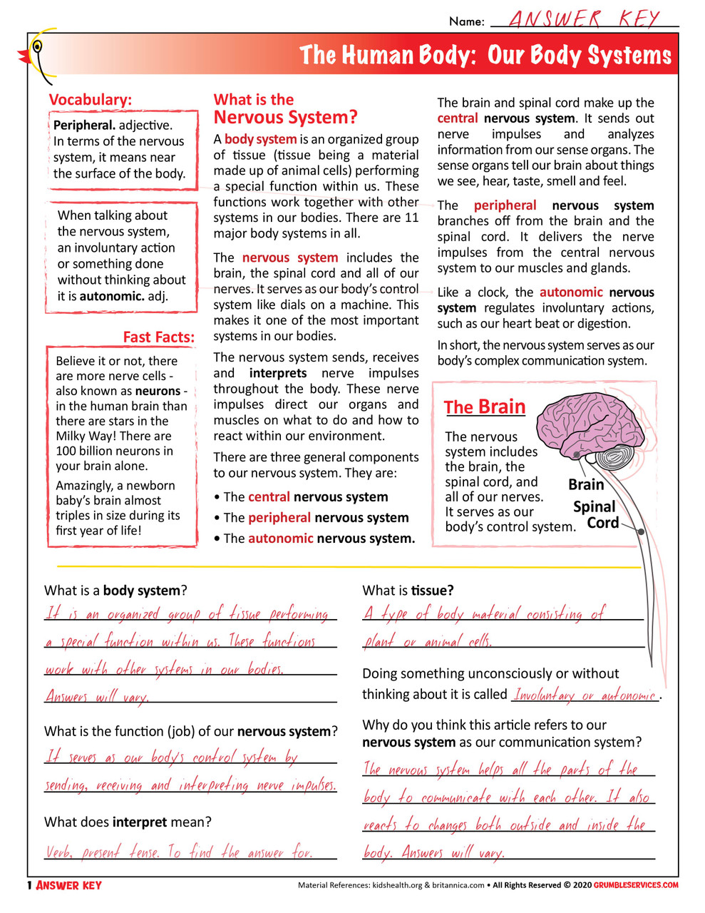 Irish Potato Famine: Ireland and The Great Hunger - Elementary ...