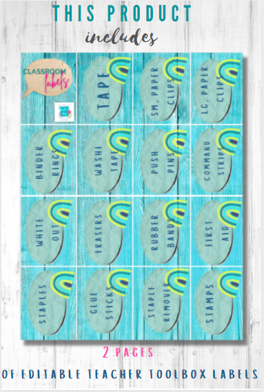 Editable Rainbow Themed Get Organized with Back to School Bonus