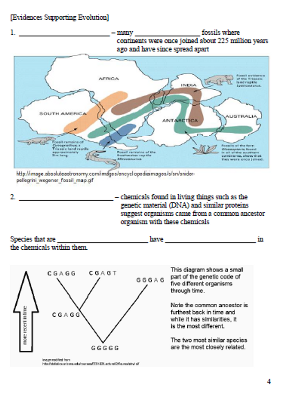 Evolution Lesson For High School