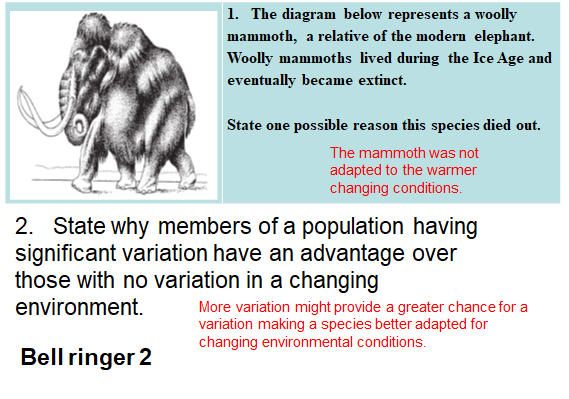 Evolution and Selection Learning Activities for Middle School