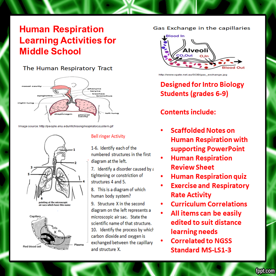 Human Respiration Learning Activities for Middle School