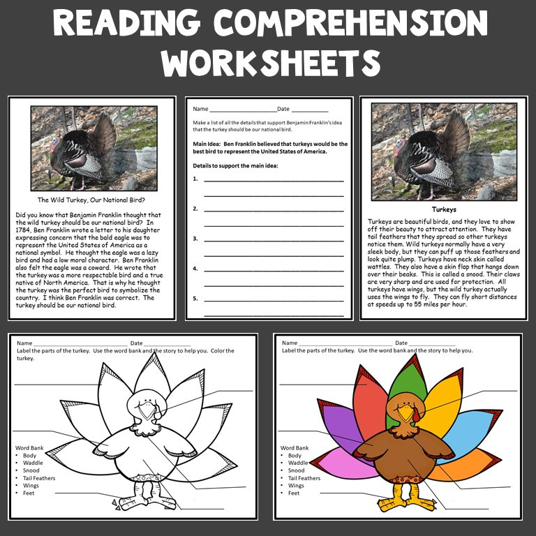 Reading Comprehension Worksheets and Literacy Center, Turkey Theme