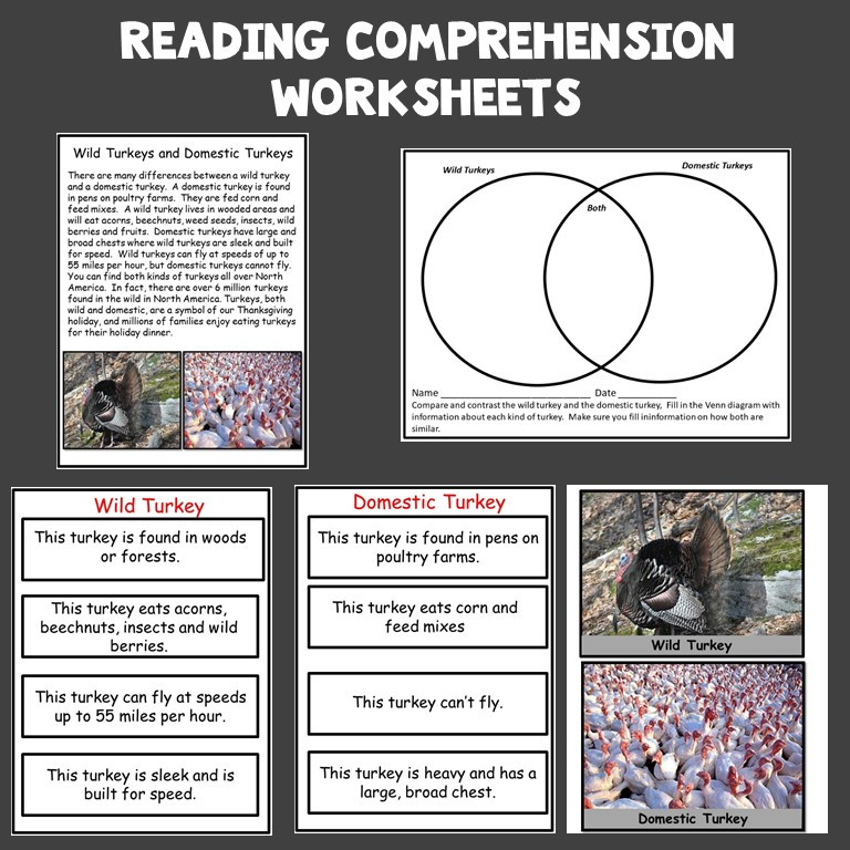 Reading Comprehension Worksheets and Literacy Center, Turkey Theme