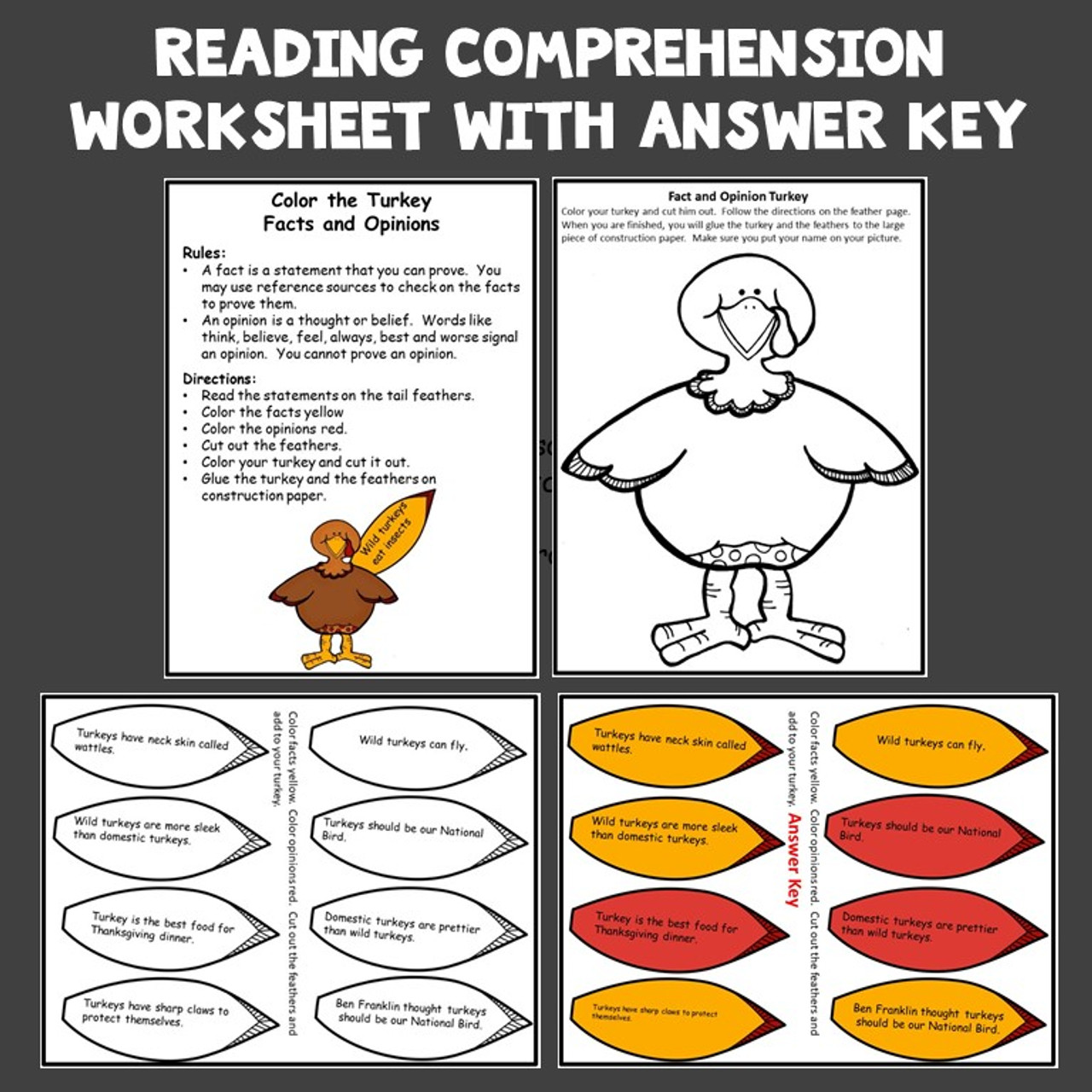 Reading Comprehension Worksheets and Literacy Center, Turkey Theme