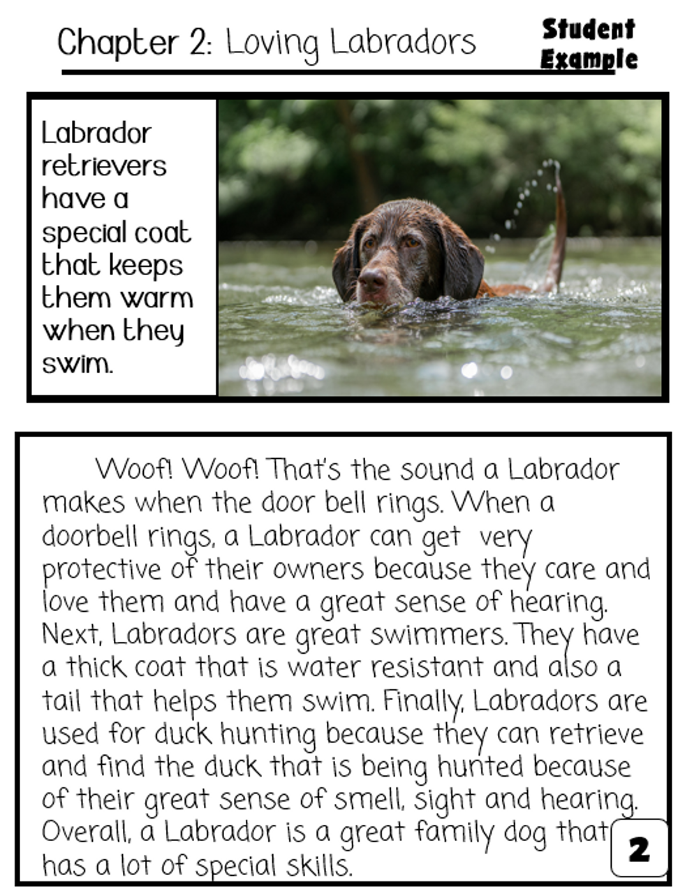 Informational Writing I Am An Expert Unit Third Grade Digital and Printable