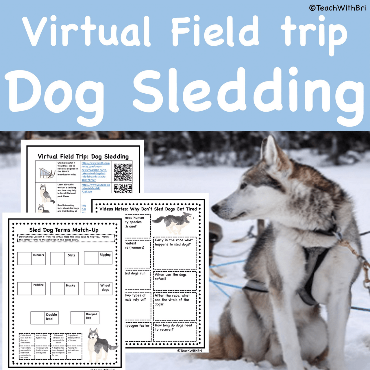 Holiday Fun Virtual Field Trips Discount Bundle