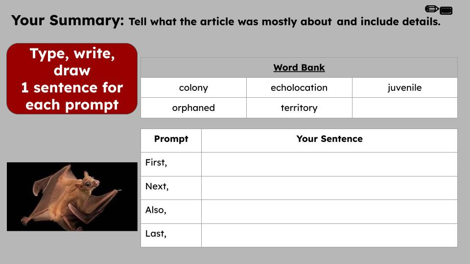Climate Change Informational Text Reading Passage and Activities