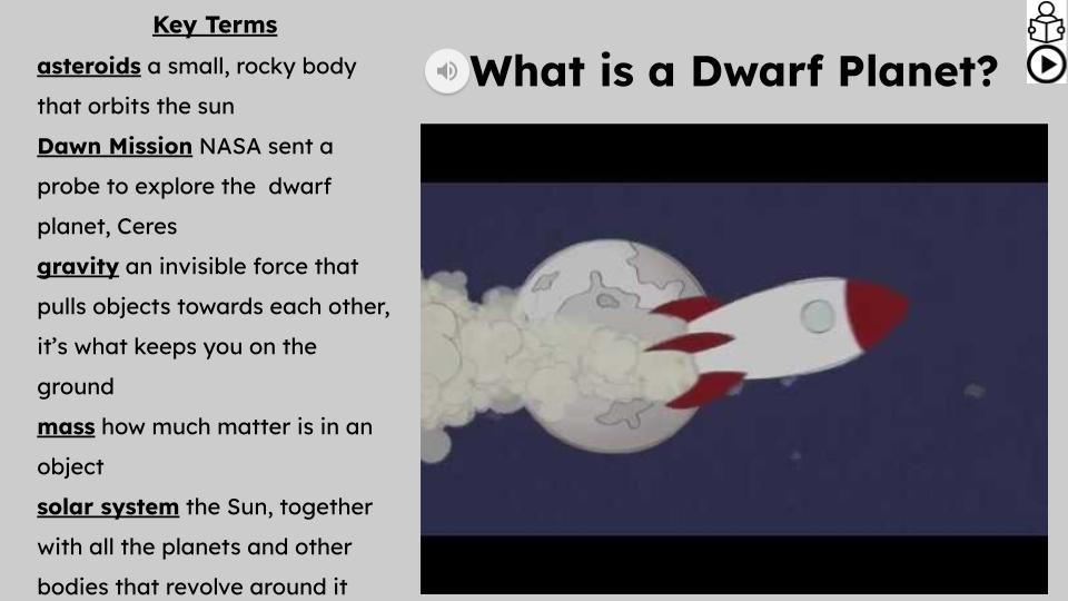 Gecko Informational Text Reading Passage and Activities