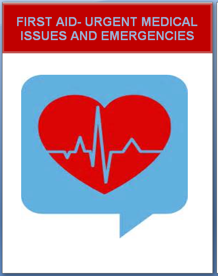 First Aid- Urgent Medical Issues and Emergencies - Amped Up Learning