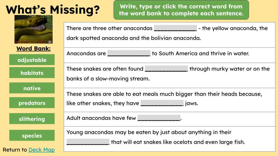 Anaconda Informational Text Reading Passage and Activities