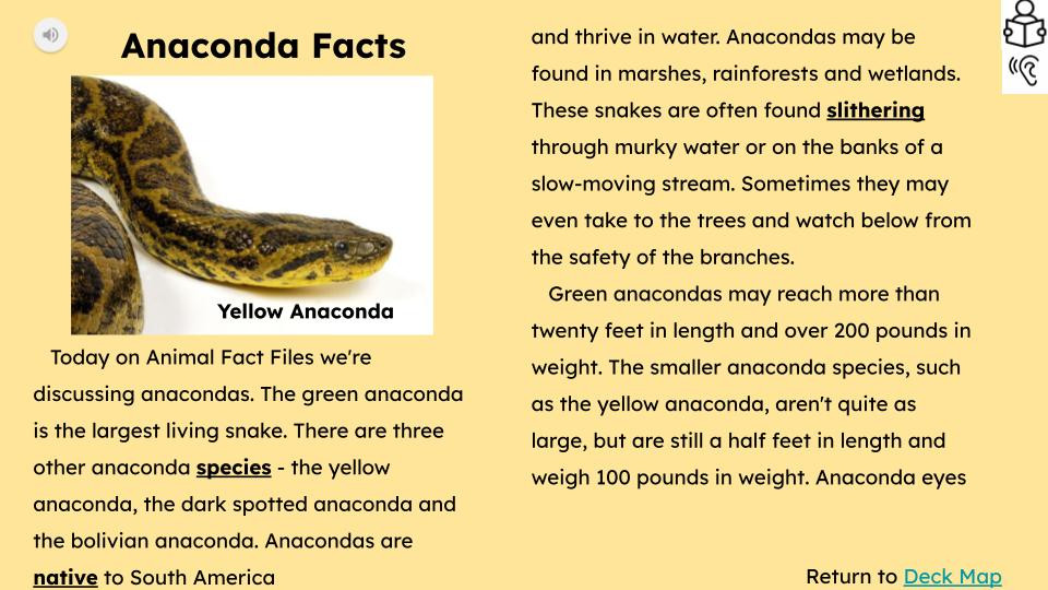 Anaconda Informational Text Reading Passage and Activities