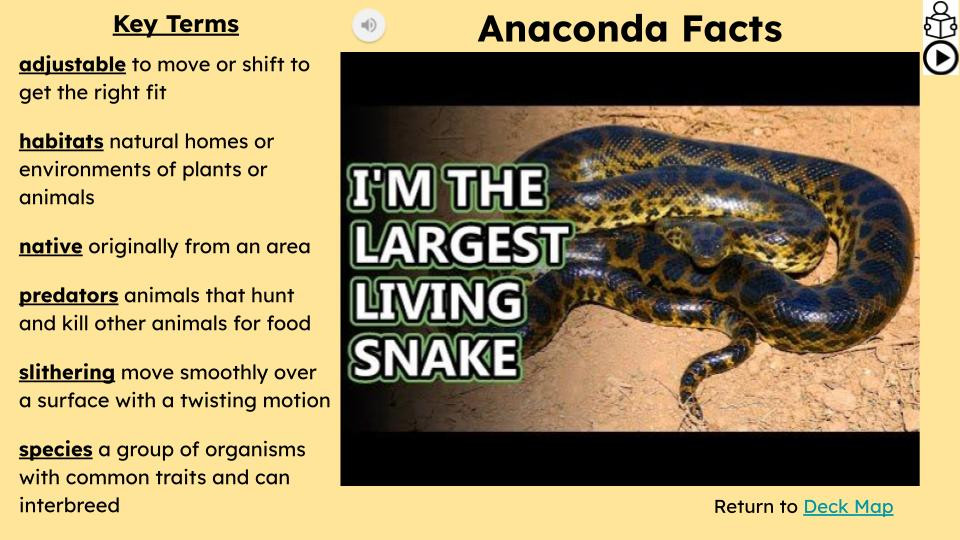 Anaconda Informational Text Reading Passage and Activities