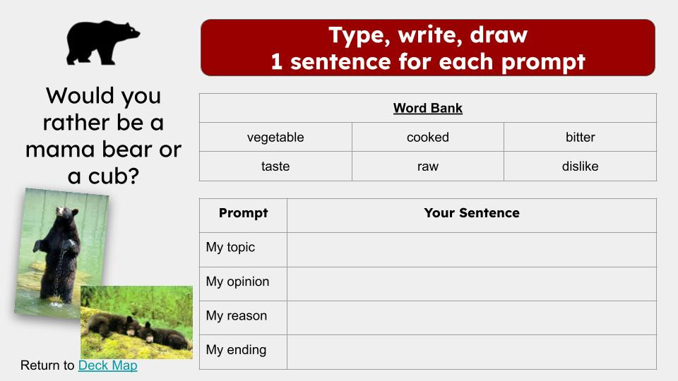 Bears Informational Text Reading Passage and Activities