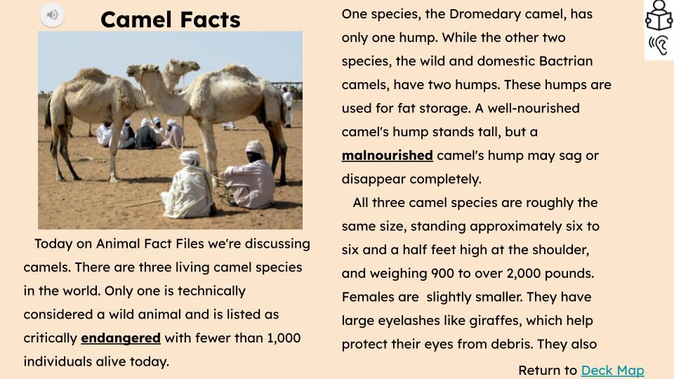 Anaconda Informational Text Reading Passage and Activities