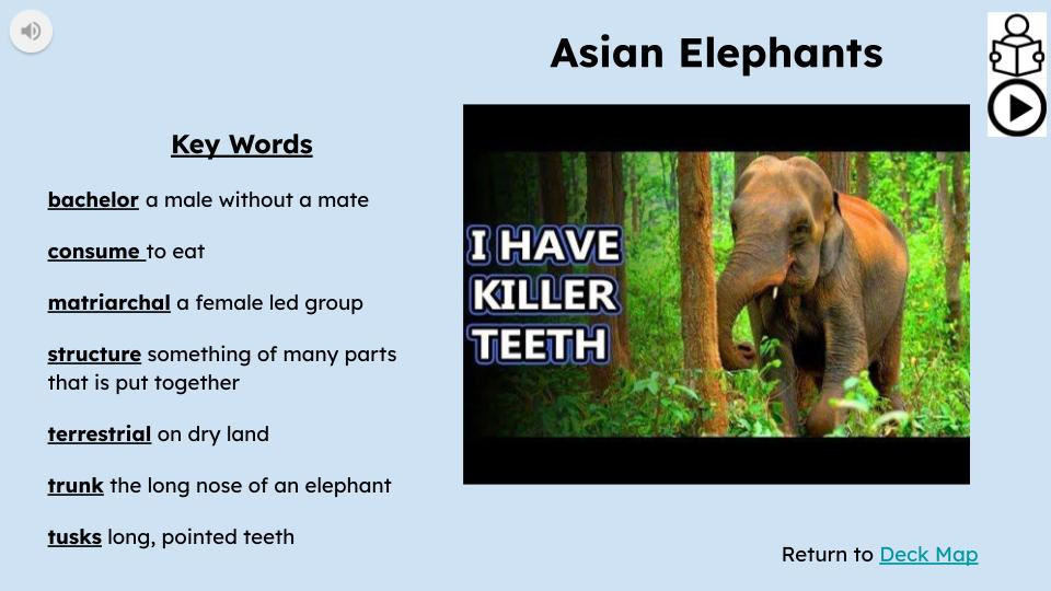 Anaconda Informational Text Reading Passage and Activities