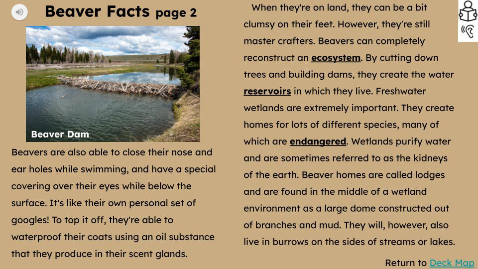 Anaconda Informational Text Reading Passage and Activities