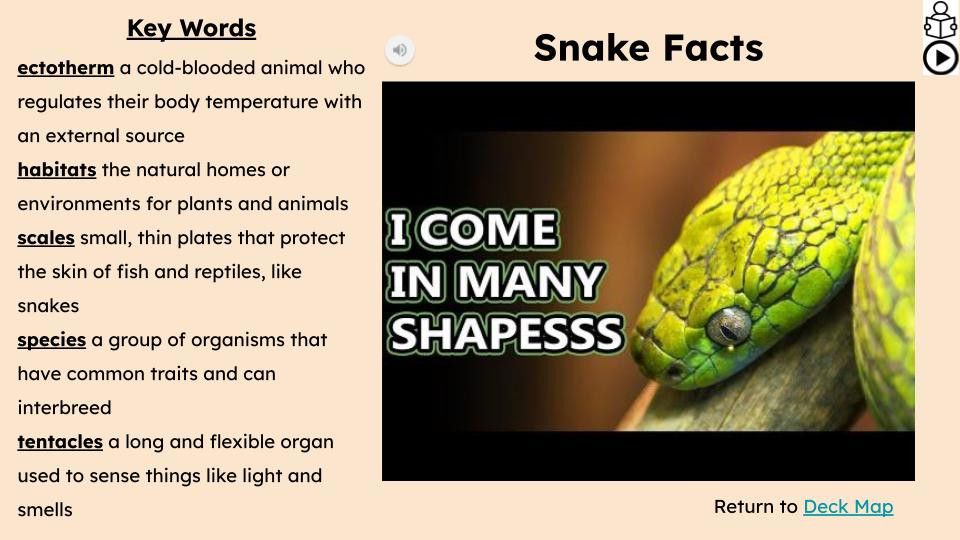 Peacock Informational Text Reading Passage and Activities