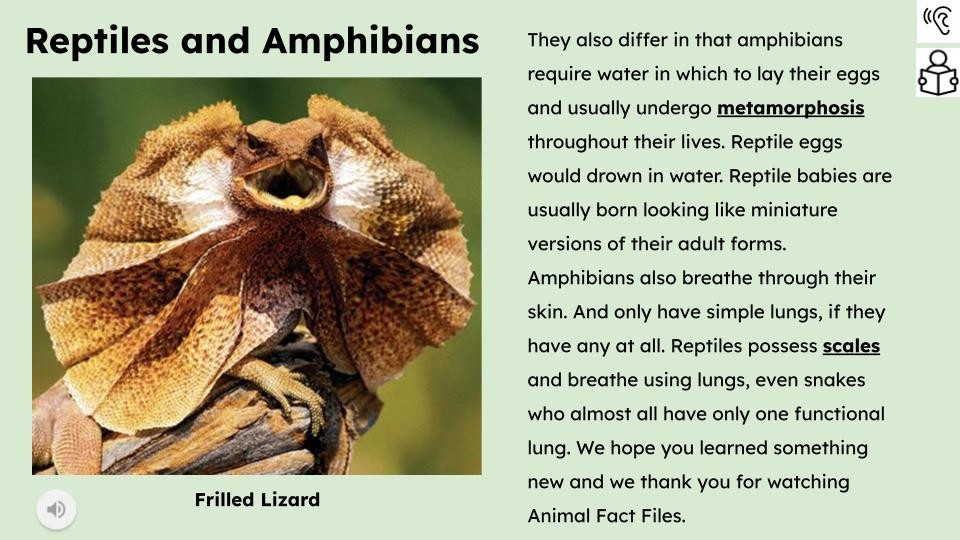 Peacock Informational Text Reading Passage and Activities