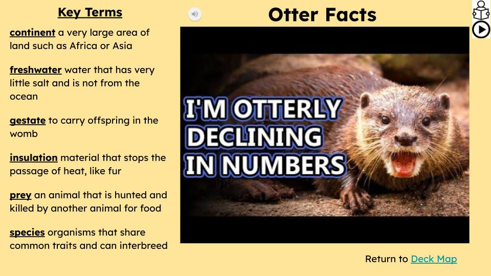 Peacock Informational Text Reading Passage and Activities