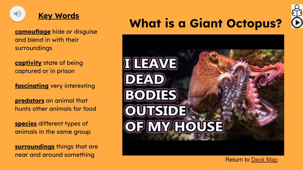 Peacock Informational Text Reading Passage and Activities