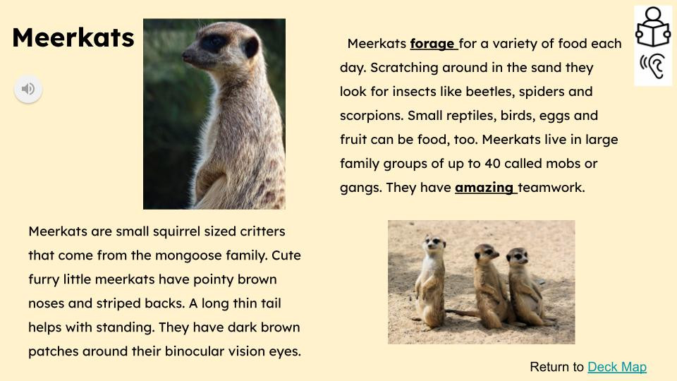 Peacock Informational Text Reading Passage and Activities