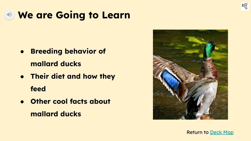 Peacock Informational Text Reading Passage and Activities