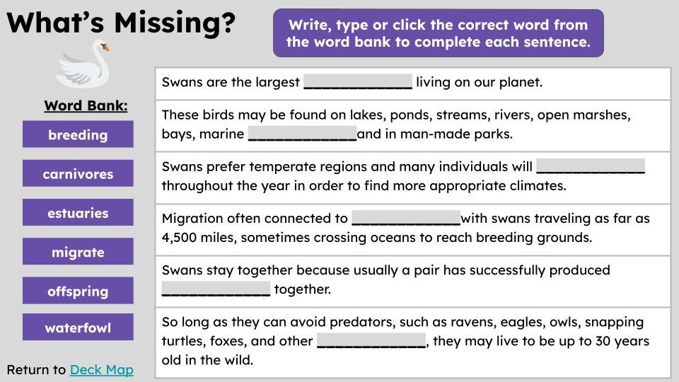 Peacock Informational Text Reading Passage and Activities