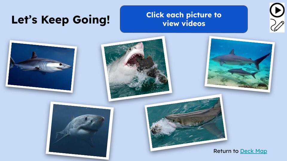 Peacock Informational Text Reading Passage and Activities