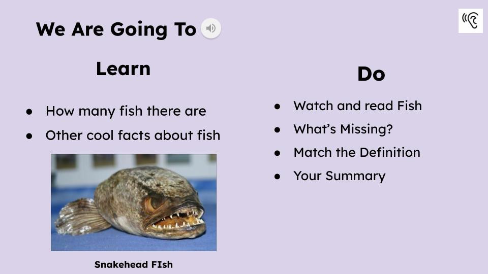 Peacock Informational Text Reading Passage and Activities