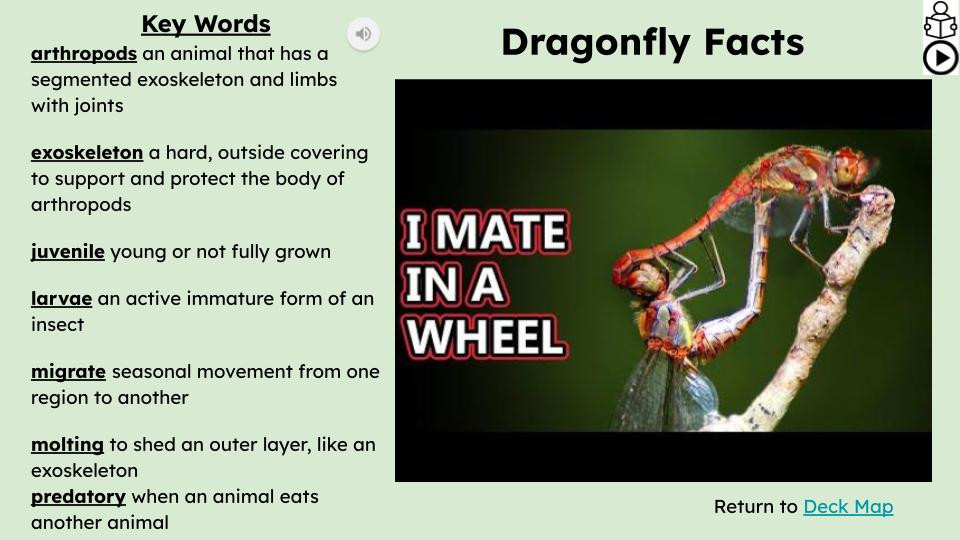 Peacock Informational Text Reading Passage and Activities